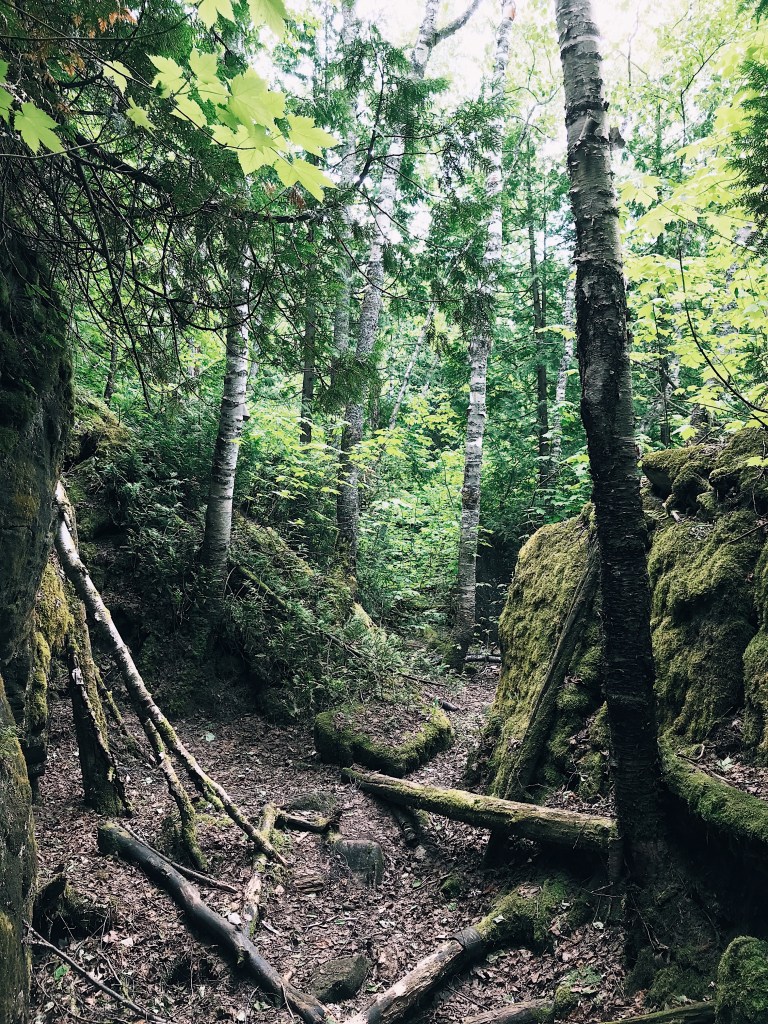 Nottawasaga Lookout Provincial Nature Reserve